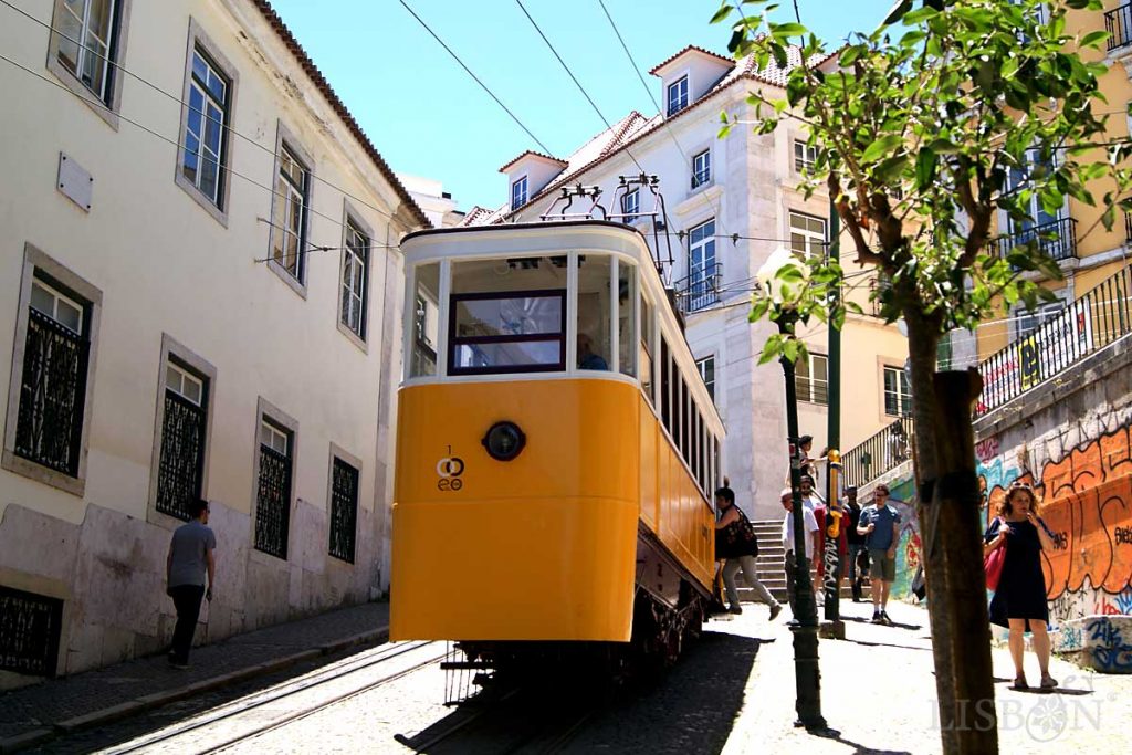Lifts and Funiculars of Lisbon • getLISBON